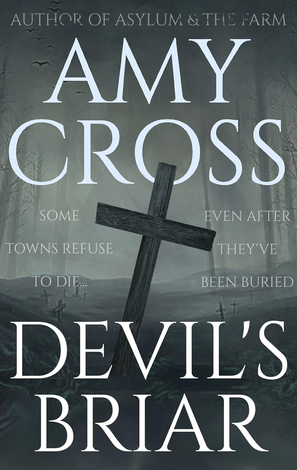 Devil's Briar - Kindle edition by Cross, Amy. Literature & Fiction ...