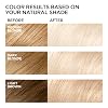 Snapklik.com : LOreal Paris Feria Multi-Faceted Shimmering Permanent ...
