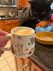 Amazon.com: Lipitaley Cat Mug, Cute Ceramic Coffee Mug, Stoneware Cat ...