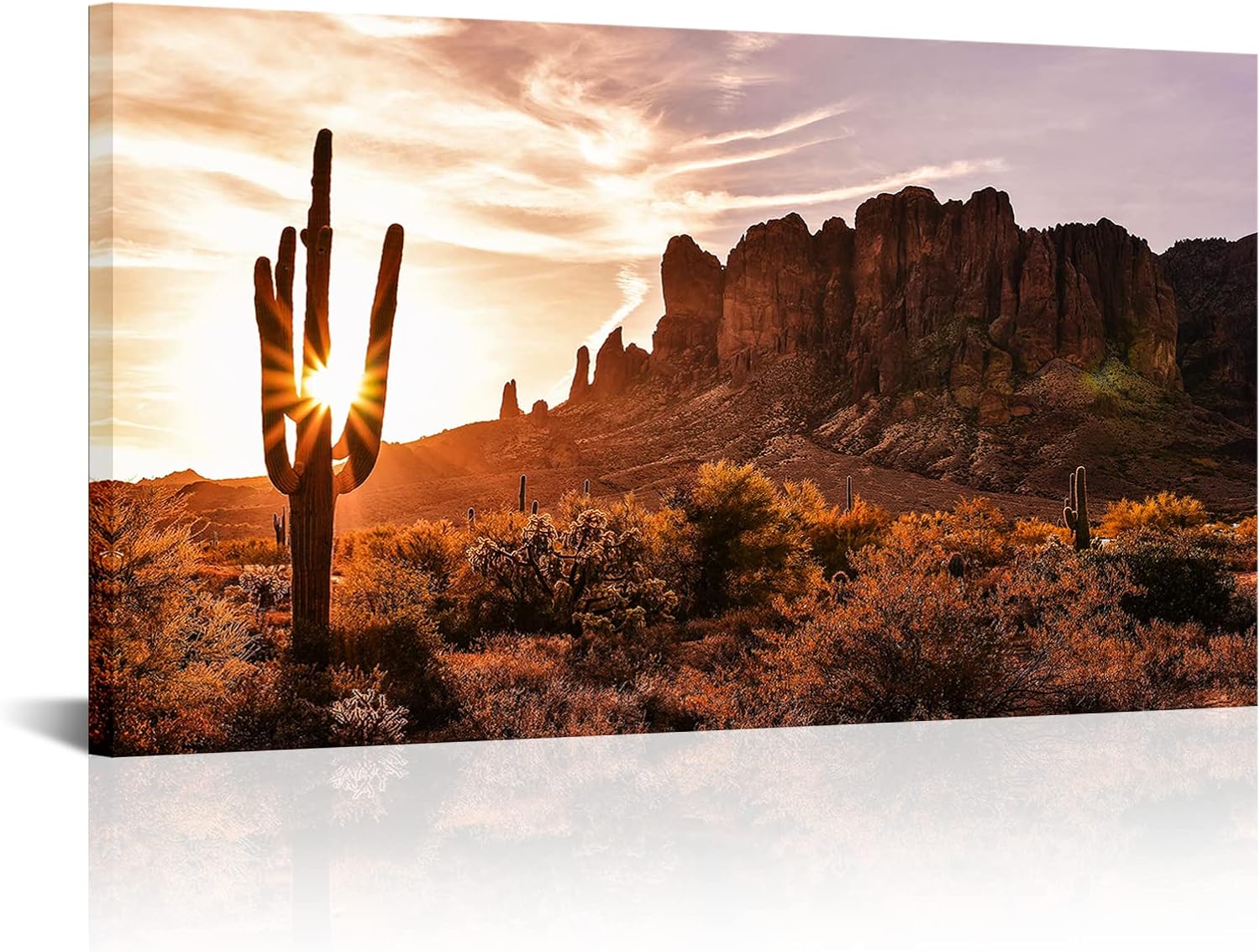 Amazon.com: Derkymo Arizona Western Desert Cactus Landscape Paintings ...