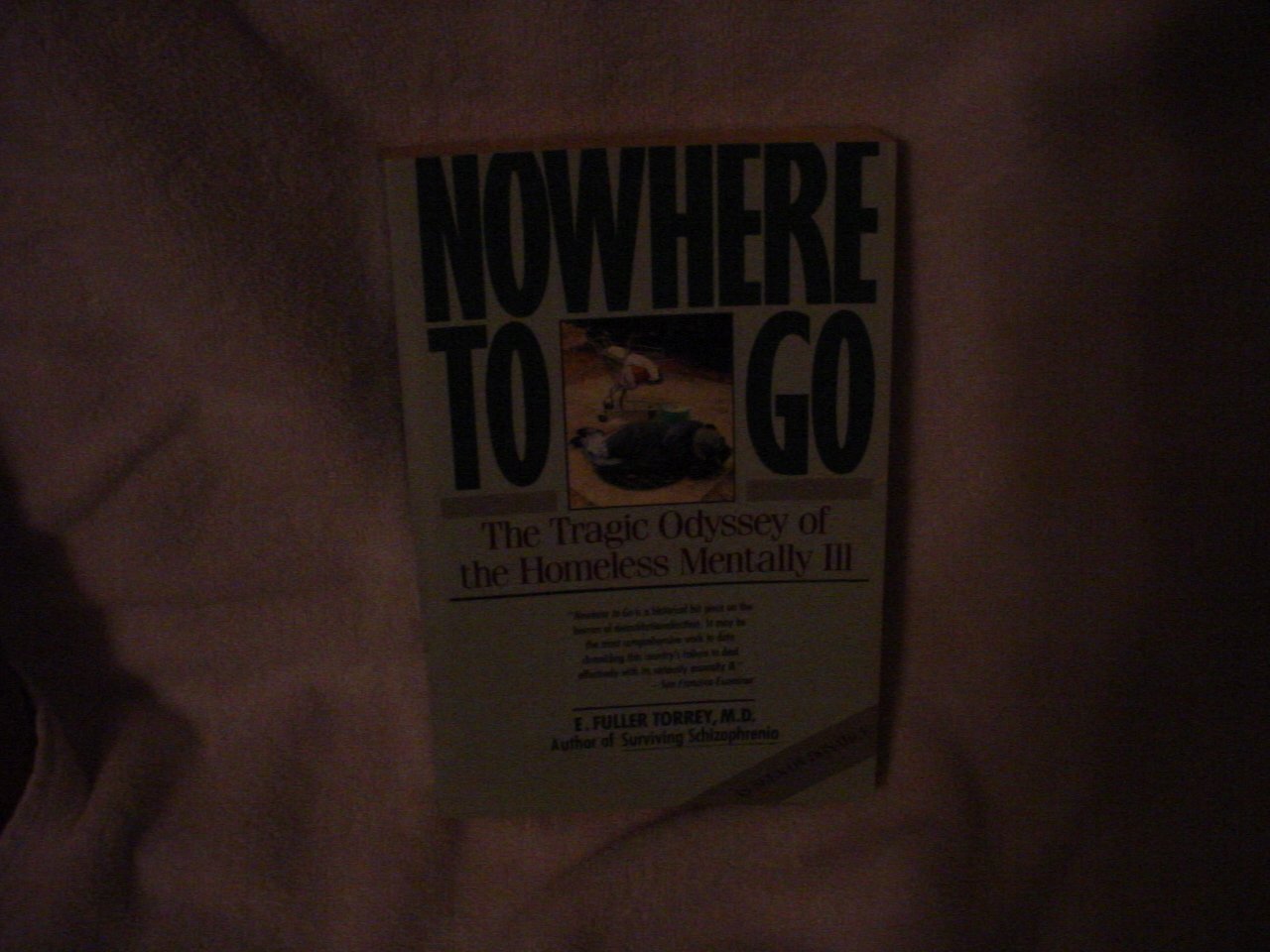 Nowhere to Go: The Tragic Odyssey of the Homeless Mentally Ill: E ...