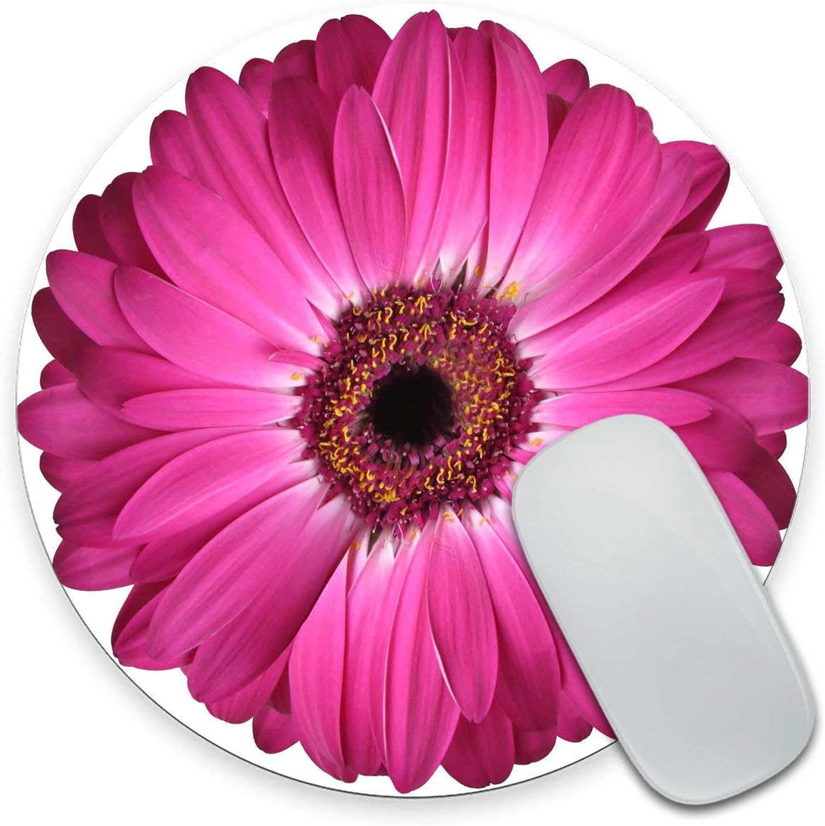 Amazon.com: Amcove Mouse Pad, Isolated Purple Gerbera Daisy Round ...