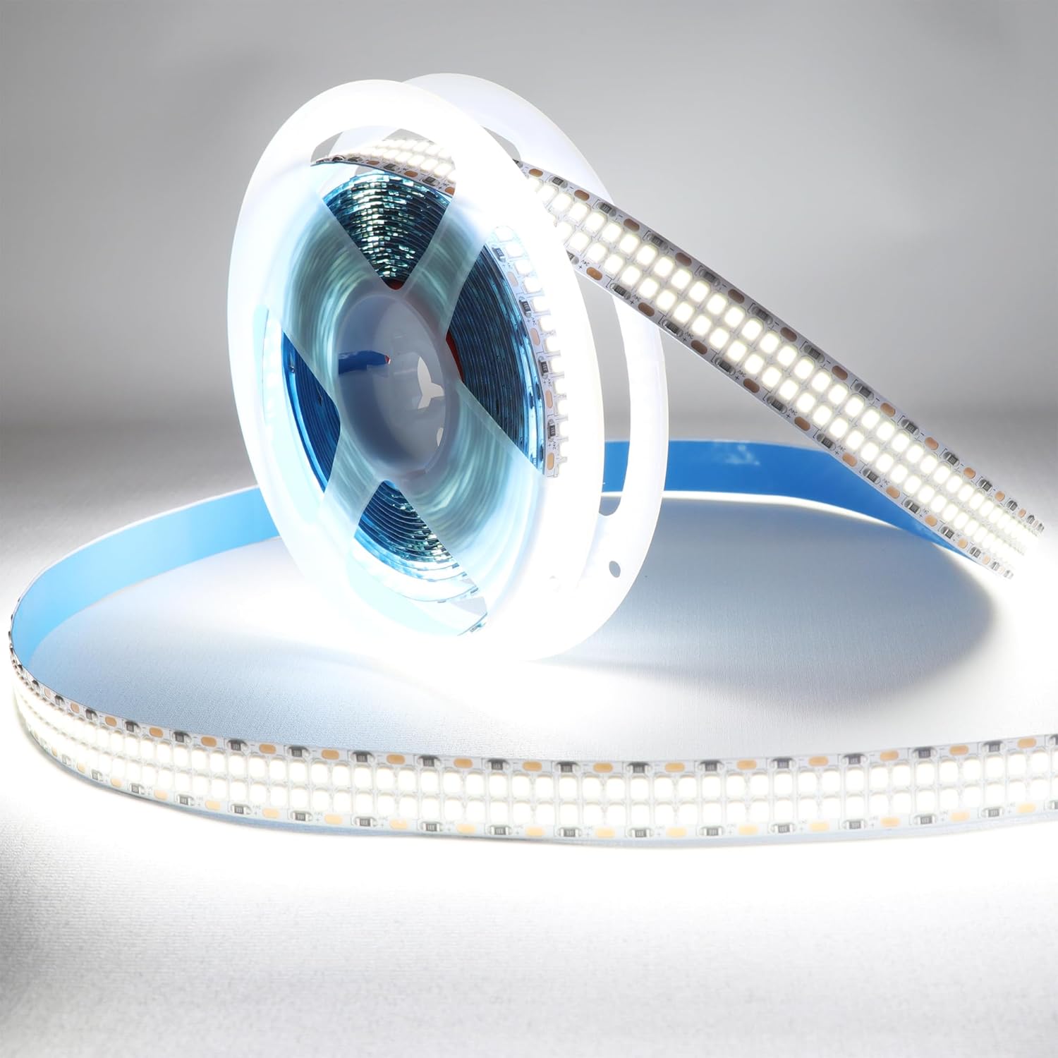 Amazon.com: LEDENET 2835 SMD Cold White LED Strip Lights 6500K DC 24V ...