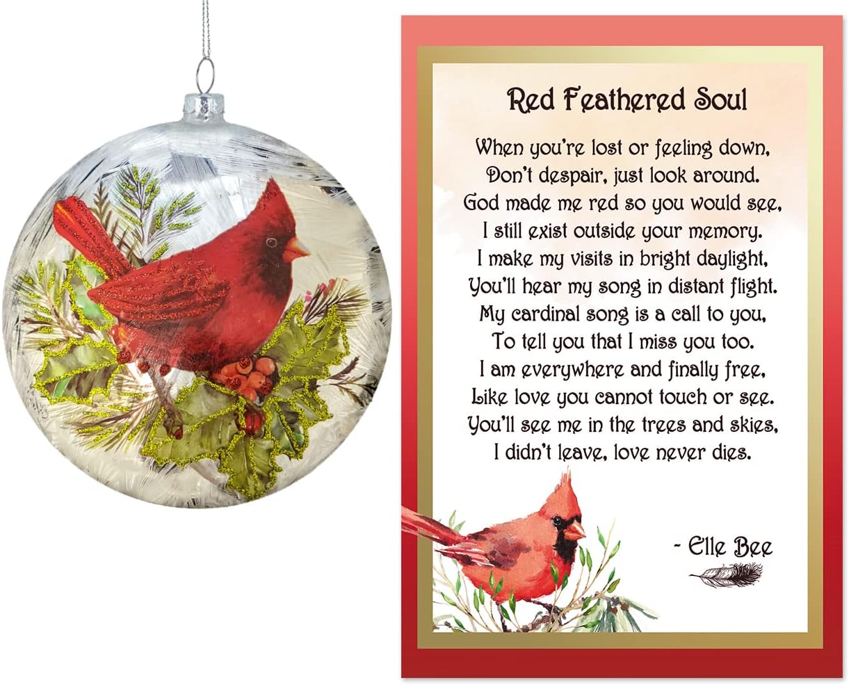 Amazon.com: Lola Bella Gifts and Burton and Burton Cardinal Round Flat ...