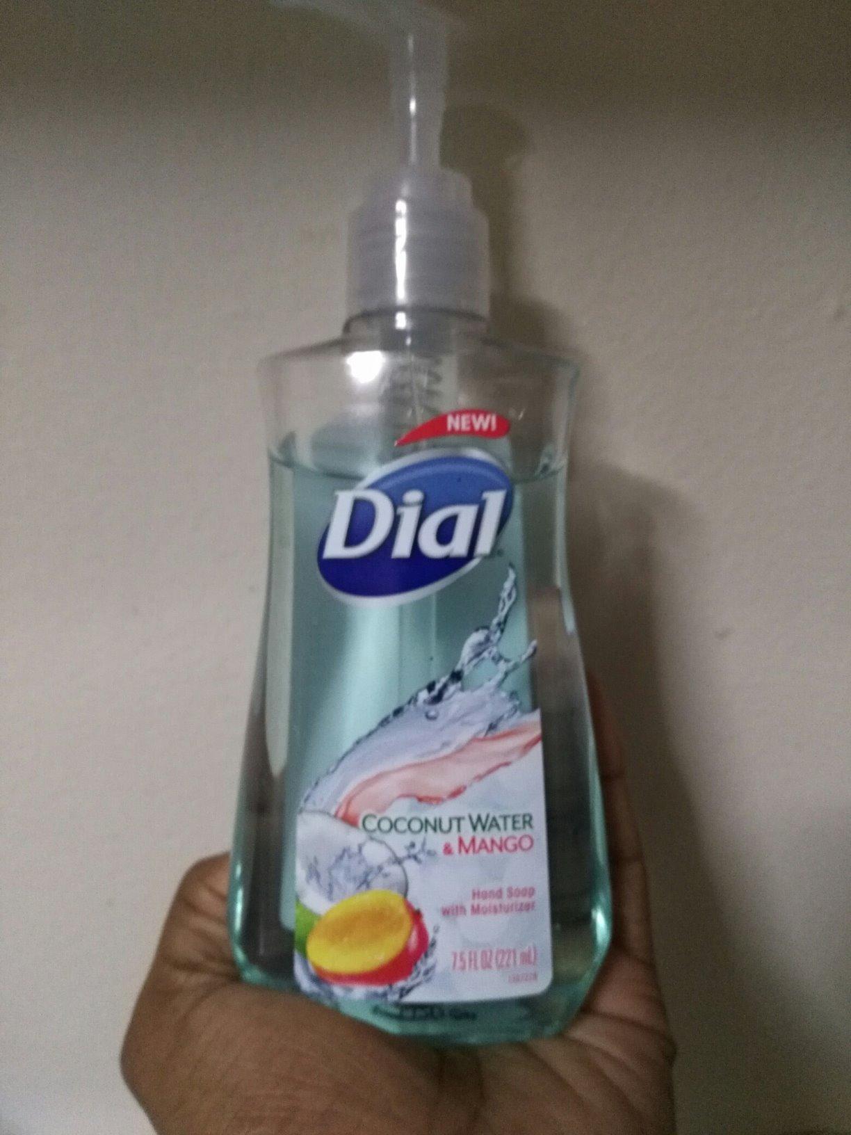 Amazon.com : Dial Liquid Hand Soap, Coconut Water & Mango, 7.5 Ounce ...