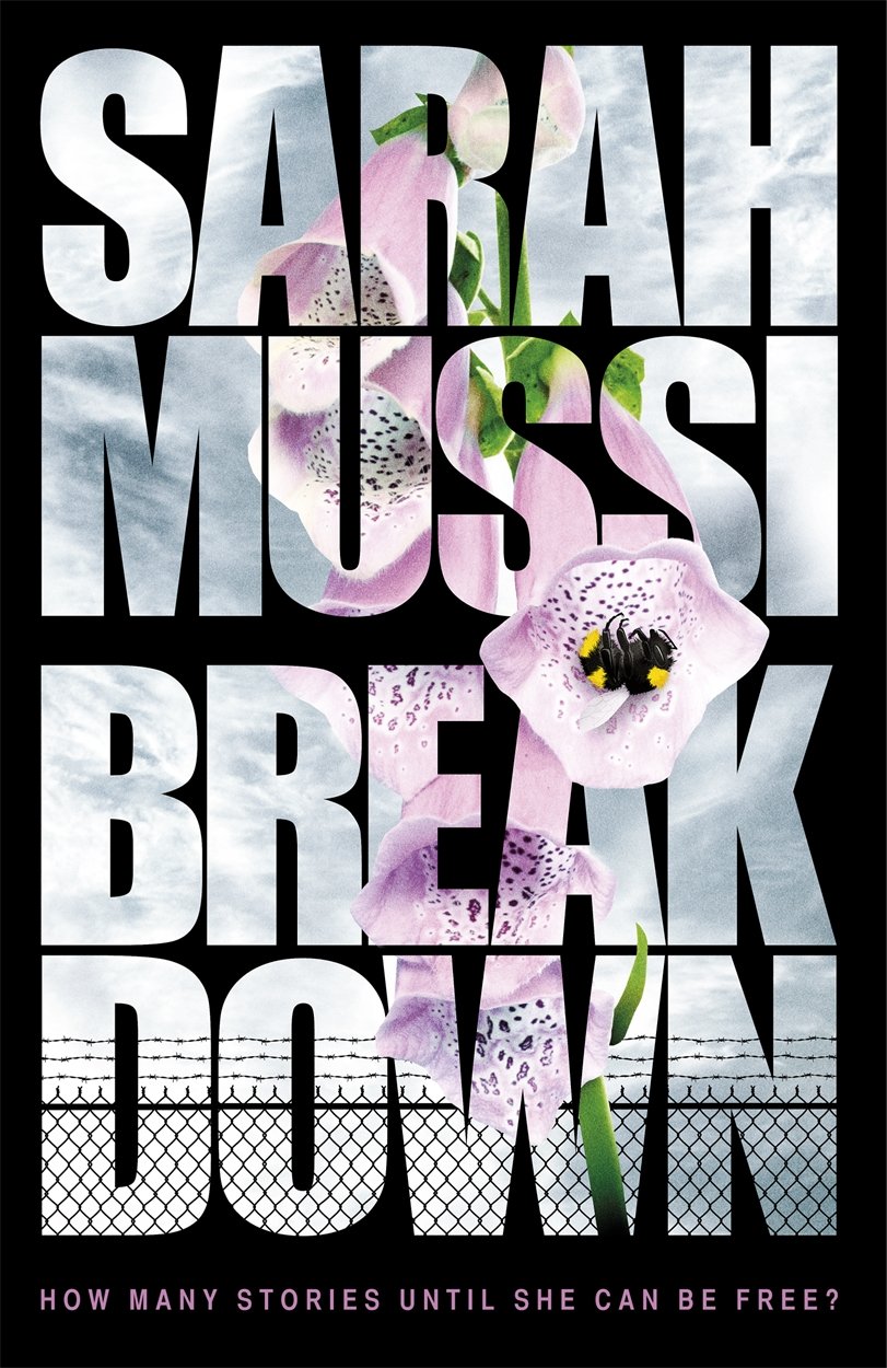 Breakdown: Sarah Mussi: 9781471401916: Amazon.com: Books
