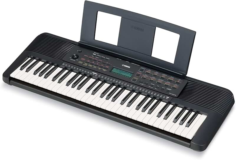 Amazon.ae: Musical Instrument Keyboards - Musical Instrument Keyboards ...