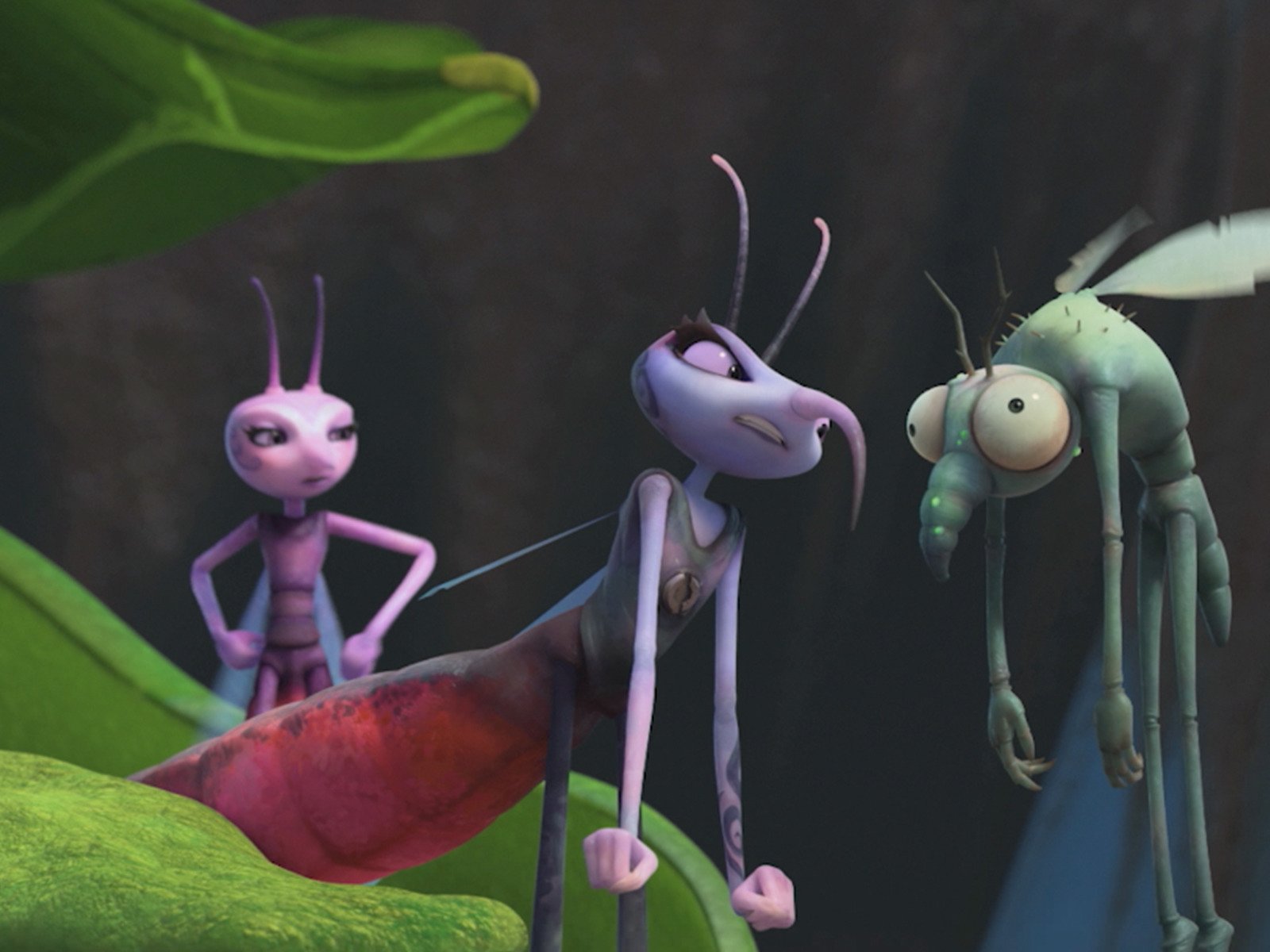 Watch Insectibles | Prime Video