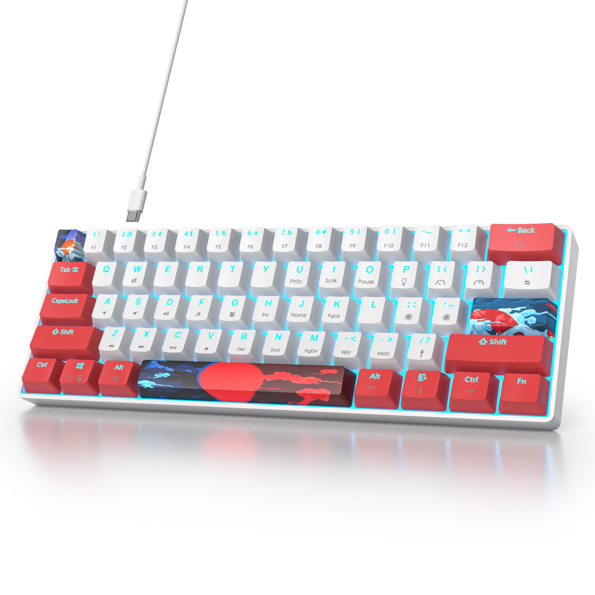 Snapklik.com : 60 Percent Gaming Keyboard 61 Keys Wired Mechanical ...