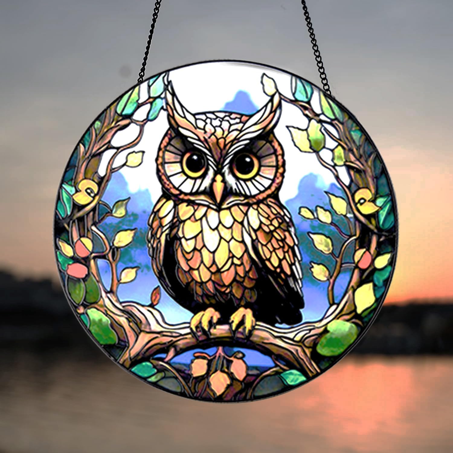 Amazon.com: Owl Acrylic Window Hangings Yard Ornament Acrylic Wall ...