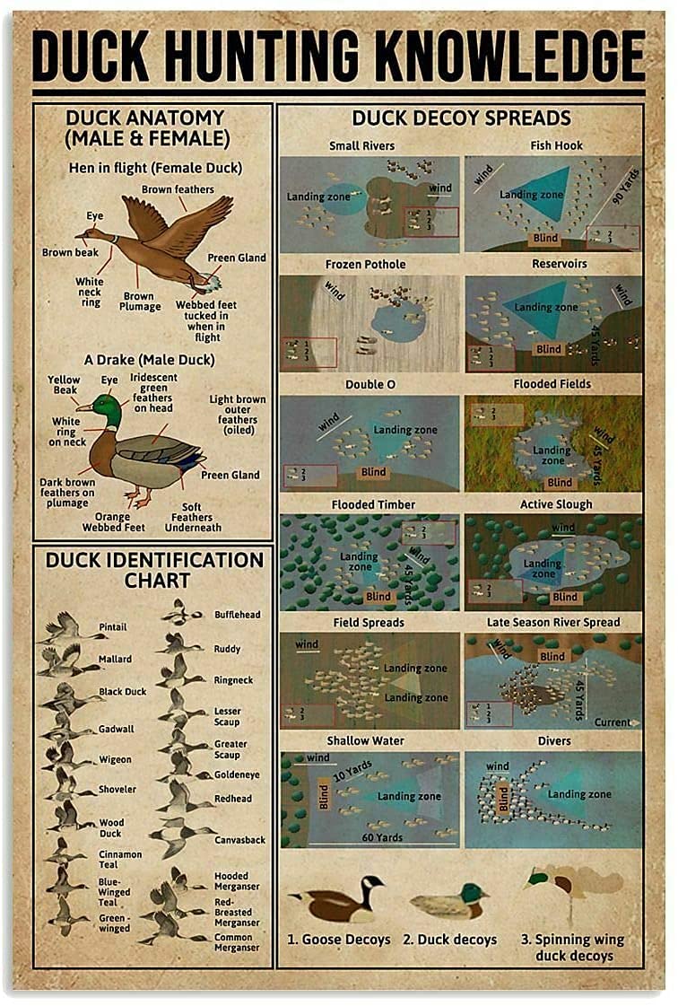 Vintage Duck Hunting Pictures