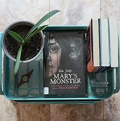 Amazon.com: Mary's Monster: Love, Madness, and How Mary Shelley Created ...