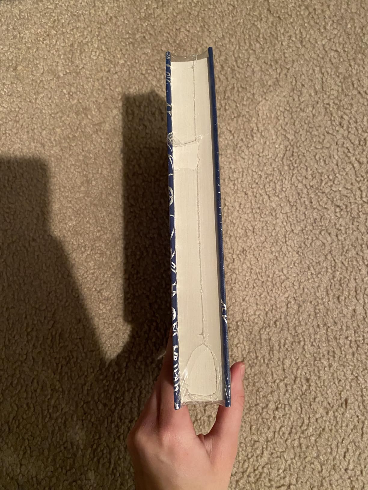 The Mortal Instruments 2: City of Ashes. Collector's Edition: Cassandra ...