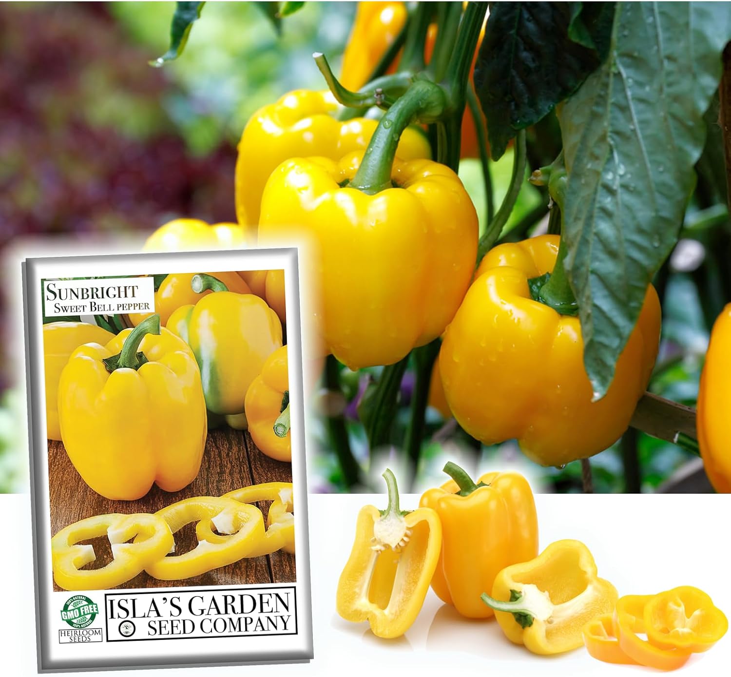 Amazon.com : "Sunbright" Yellow Sweet Bell Pepper Seeds, 50+ Heirloom ...