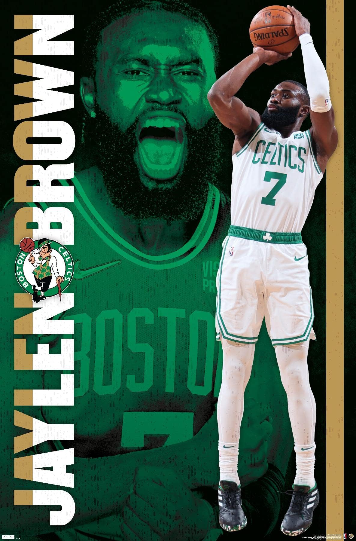 Amazon.com: Trends International NBA Boston Celtics - Maximalist Logo ...