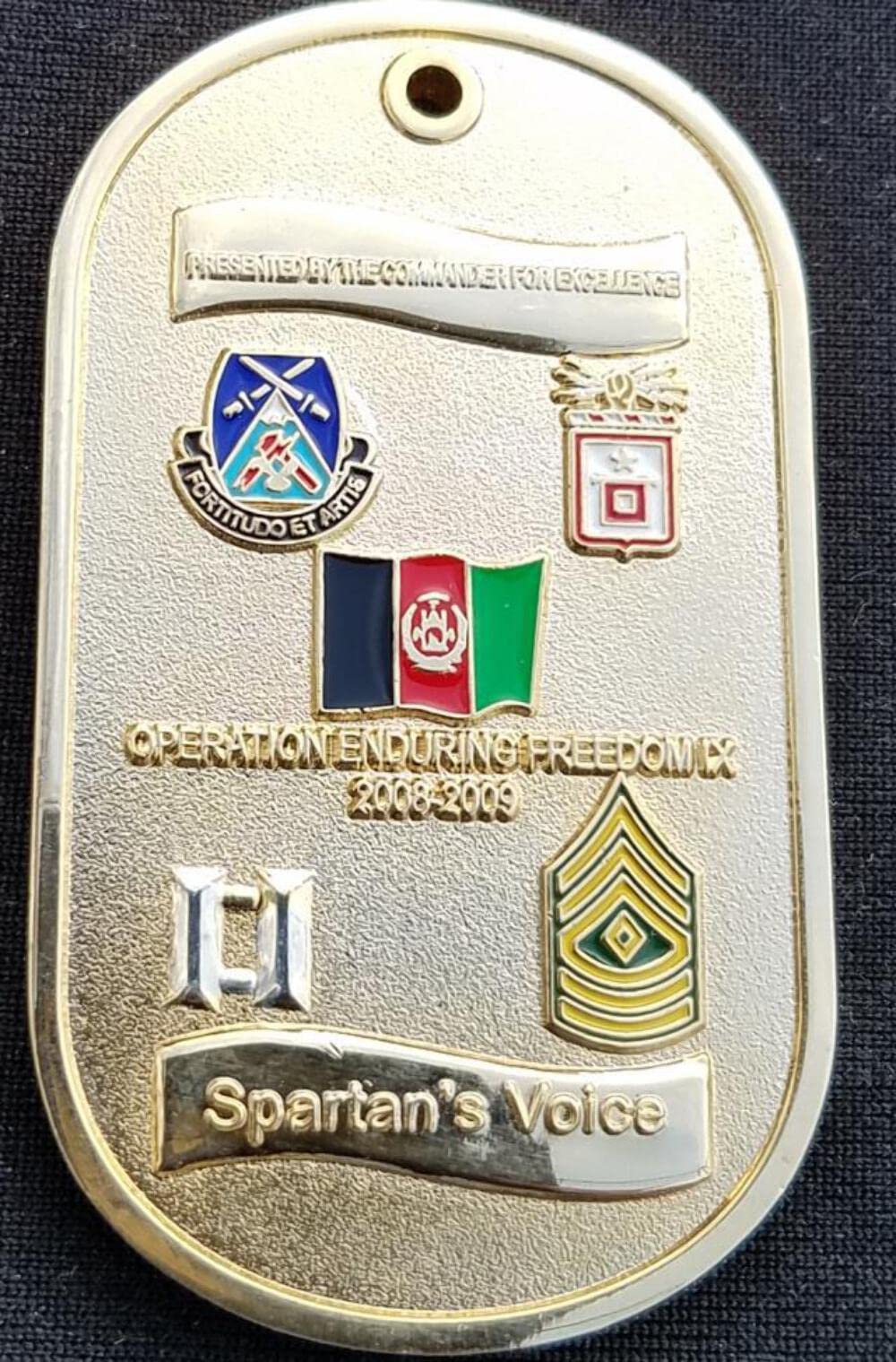 Buy US Army 10th Mountain Division J6 Rough Riders Command Team OEF ...