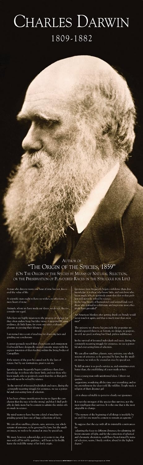 Amazon.com: (12x36) Charles Darwin (Portrait) Art Poster Pritn: Prints ...
