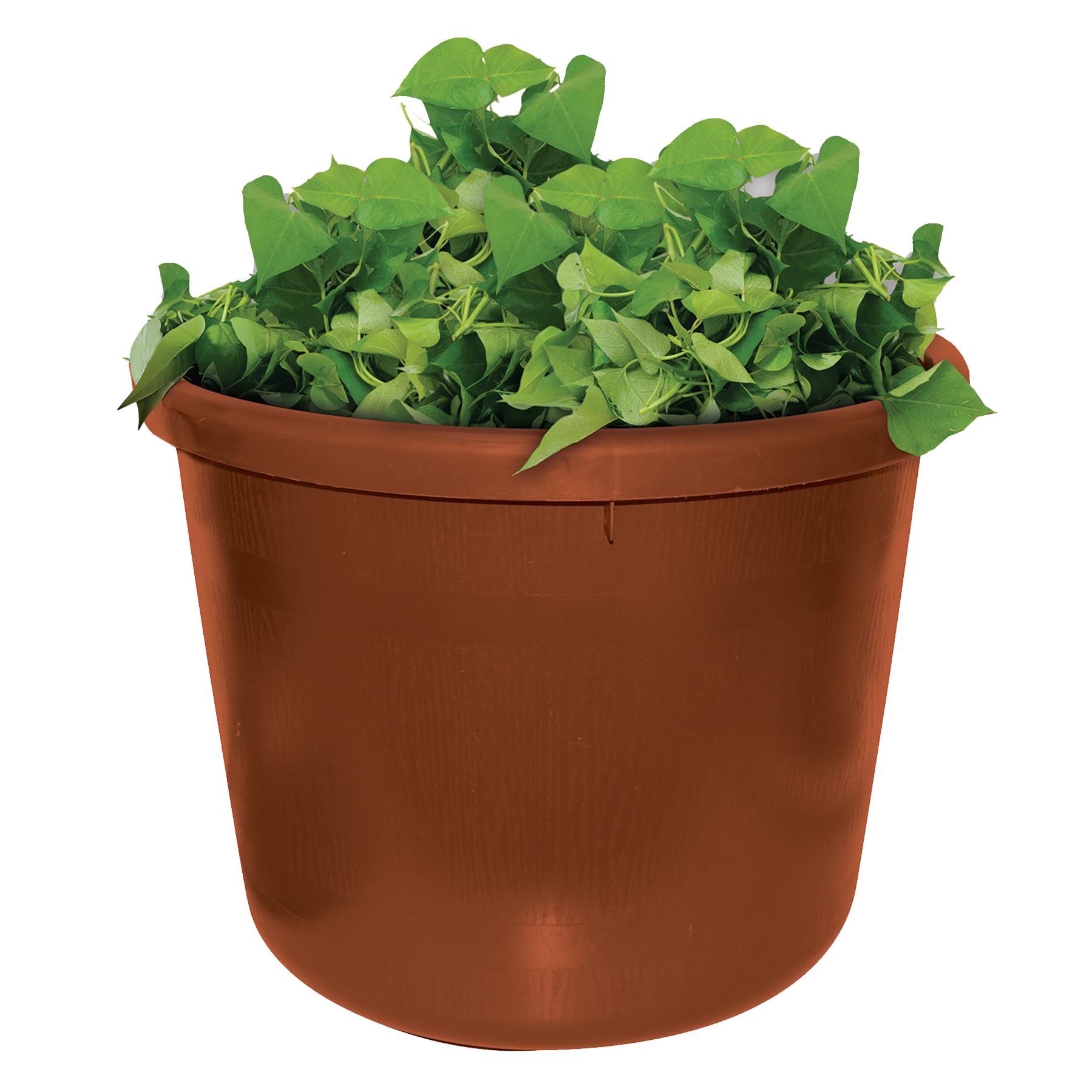 Snapklik.com : City Pickers Spud Tub Potato Grow Kit Works Great On ...