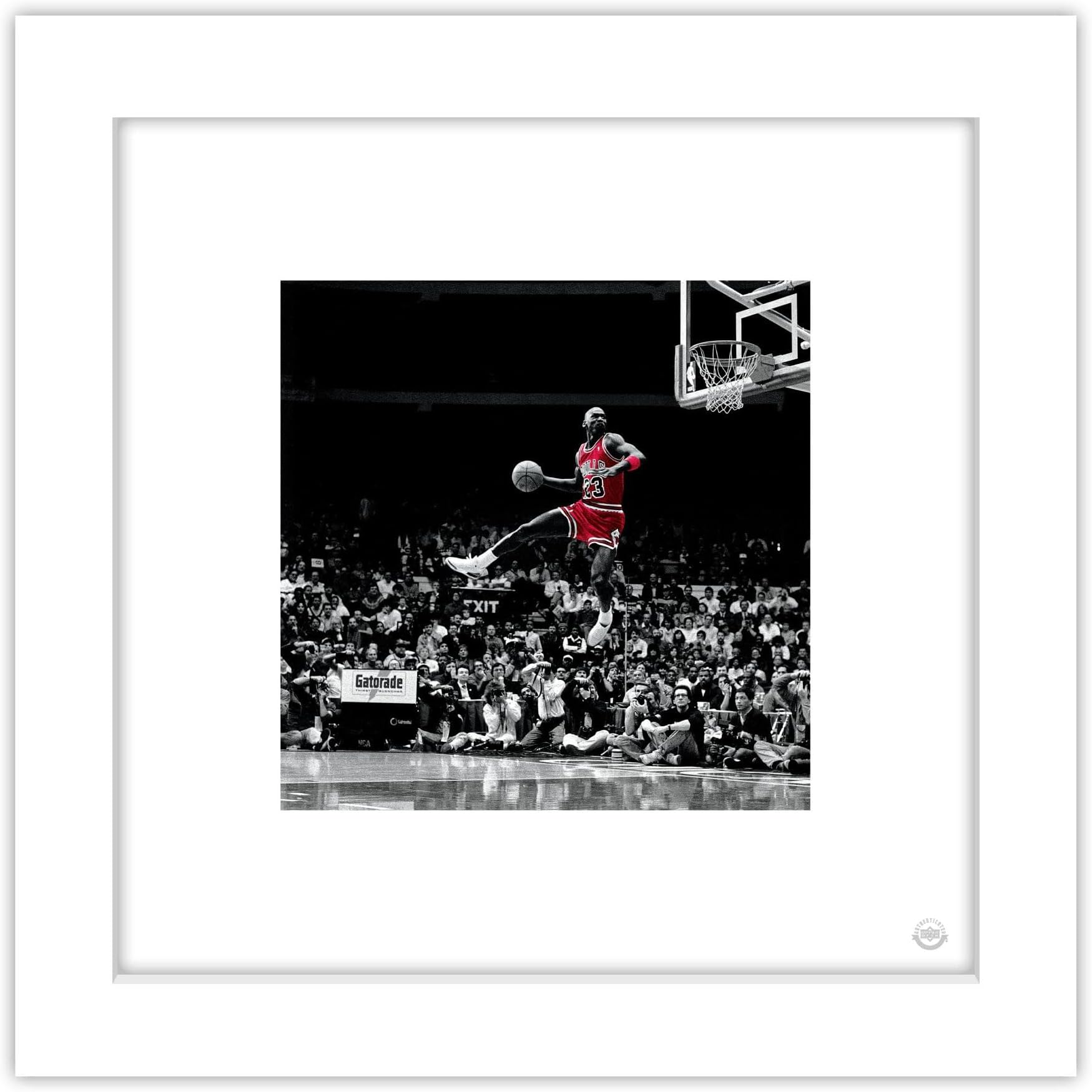 Amazon.com: Trends International Gallery Pops Michael Jordan - Flight ...