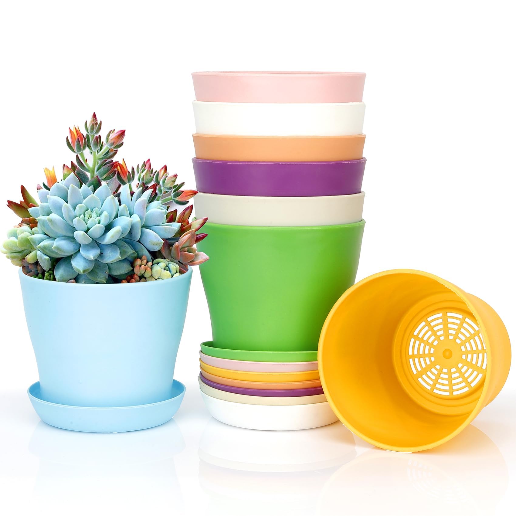 Cute Plant Pots 8 Pcs Plant Pots 3.8" Flower Pots Plastic Pots for ...