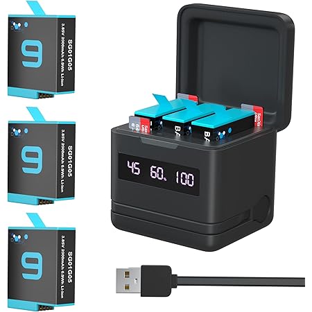 Amazon.com: GoPro Rechargeable Enduro Battery 2-Pack (HERO11 Black ...