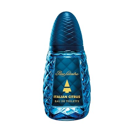 Amazon.com : Italian Citrus by Pino Silvestre - Perfume for Men - Woody ...