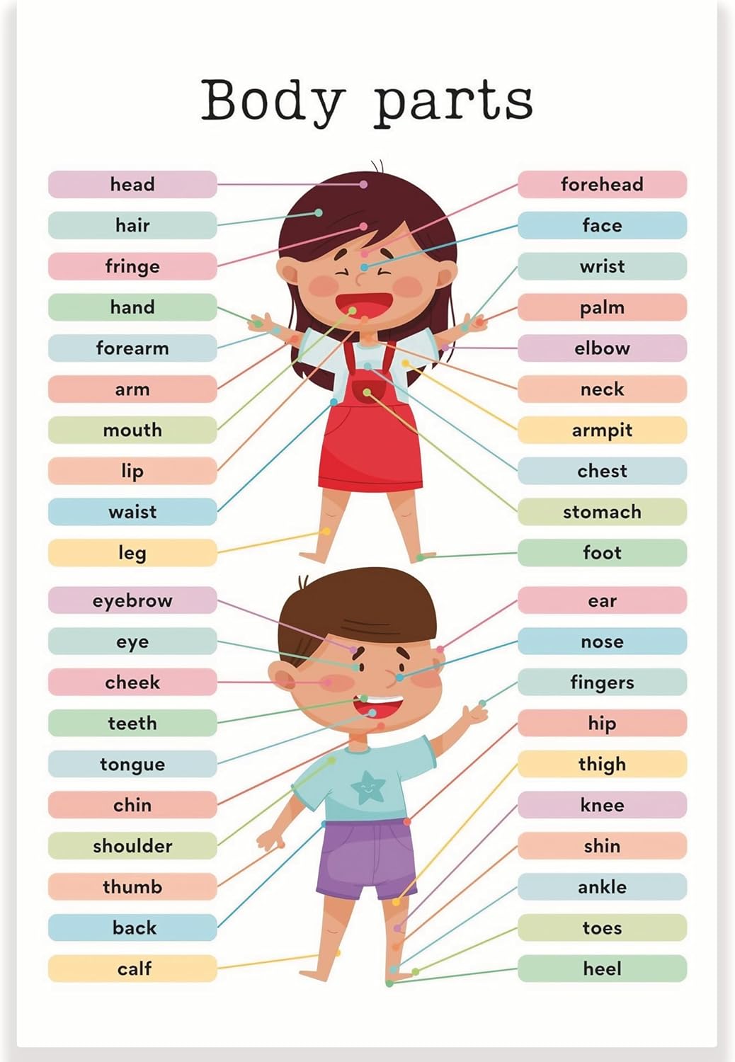 Amazon.com: Body Parts Classroom Poster - Learning the Body - Early ...