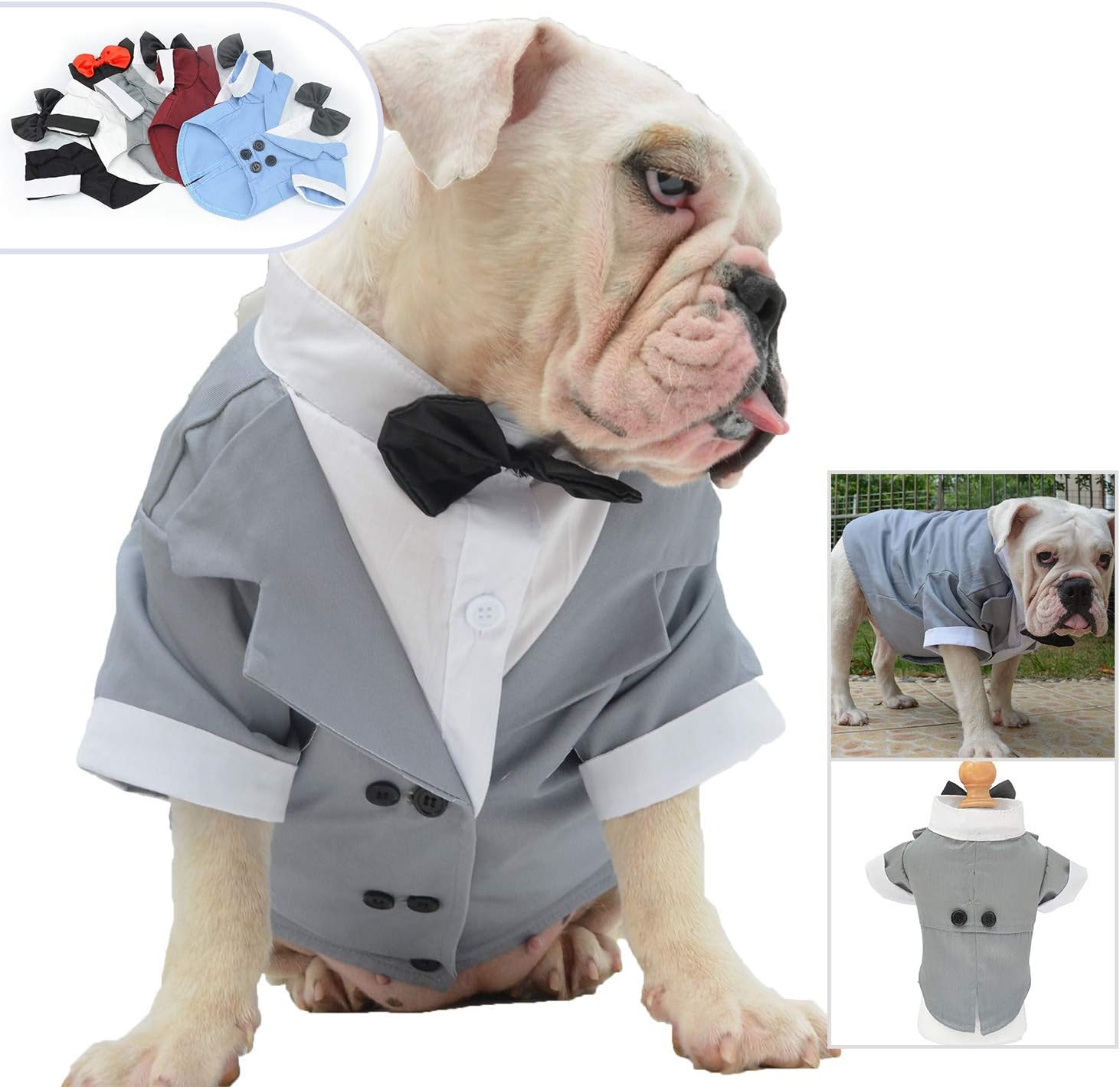 Amazon.com : Lovelonglong Bulldog Costume Dog Suit Formal Tuxedo with ...
