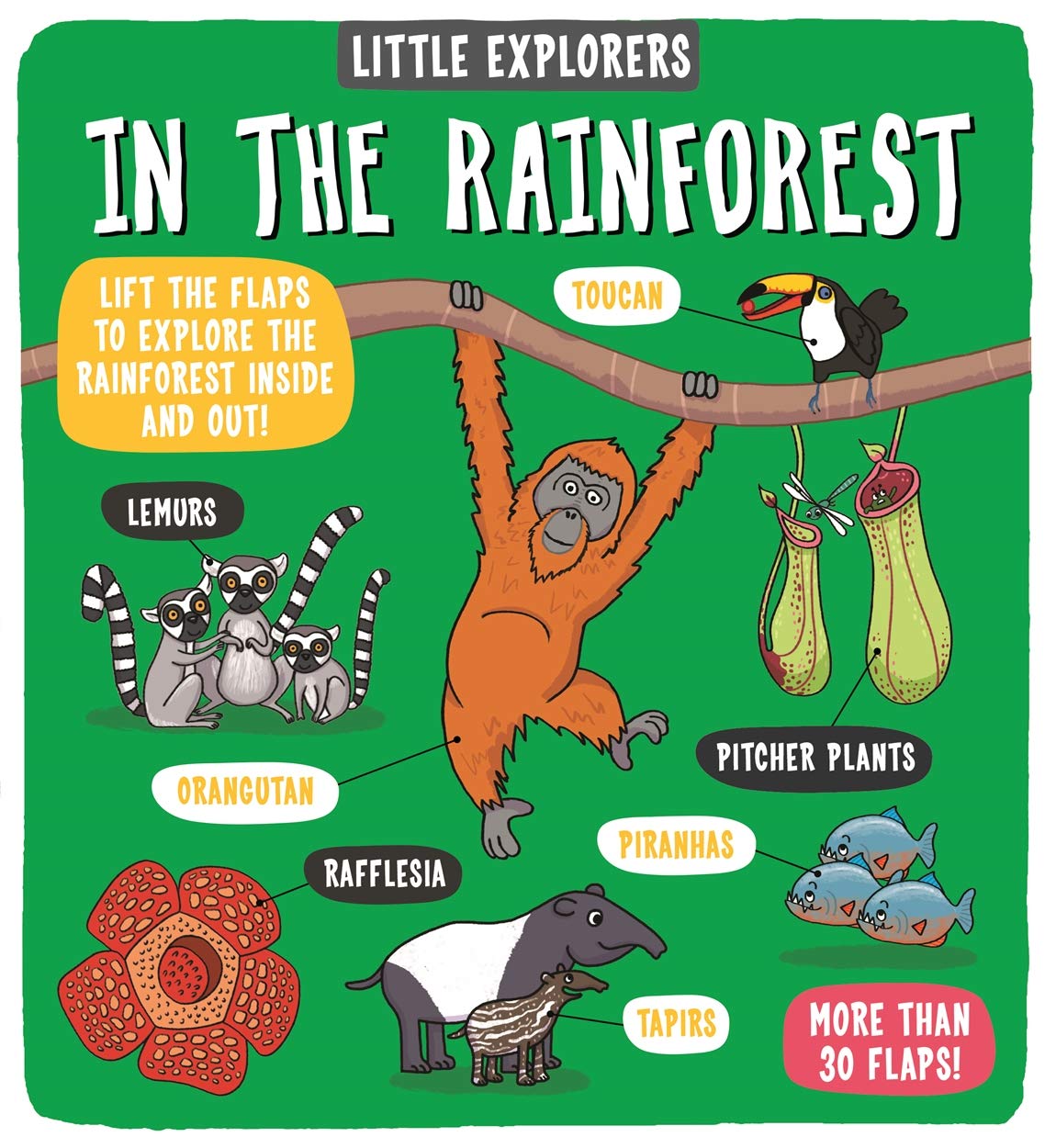Little Explorers: In the Rainforest: Amazon.co.uk: Ltd., Dynamo, Ltd ...