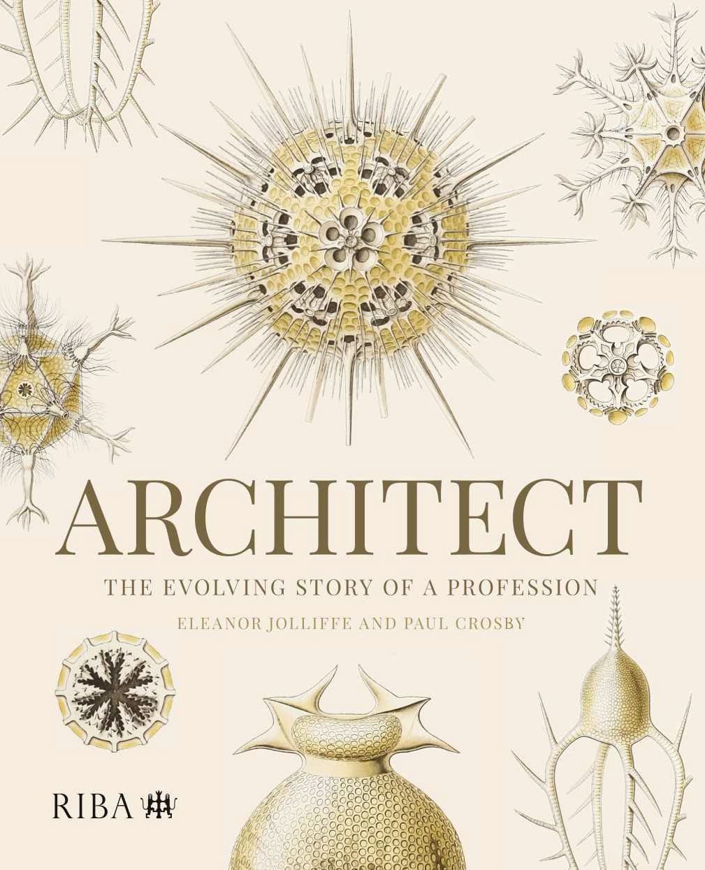 Architect: The evolving story of a profession: Jolliffe, Eleanor ...