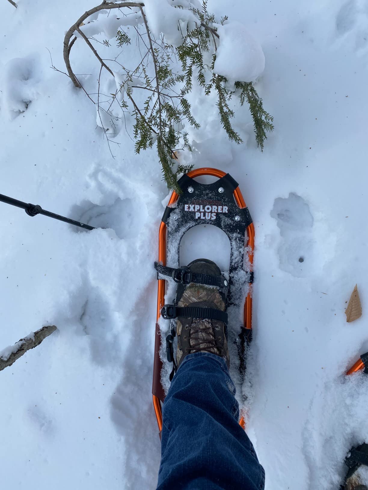 $10/mo - Finance Explorer Plus Lightweight Aluminum Frame Snowshoes ...