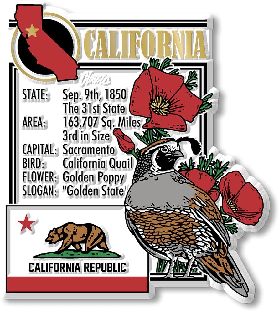 Amazon.com: California State Montage Magnet by Classic Magnets, 3" x 3. ...