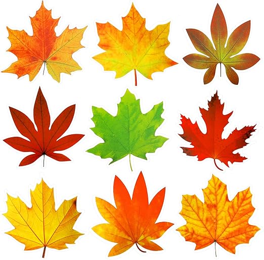 Amazon.com : Fall Bulletin Board Decorations Fall Leave Cutout Autumn ...
