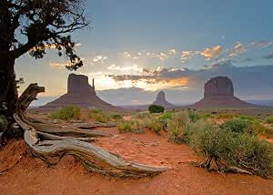 Amazon.com: BELECO 6x4ft Fabric Monument Valley Backdrop Arizona Desert ...
