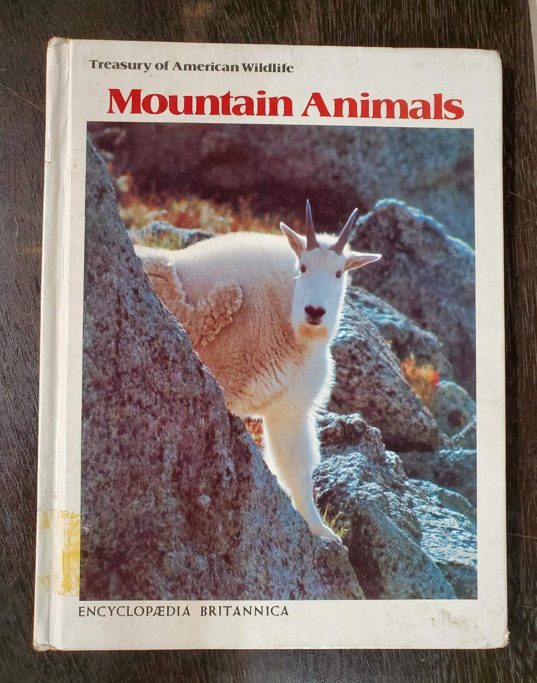Mountain animals (Treasury of American wildlife): Market Communications ...
