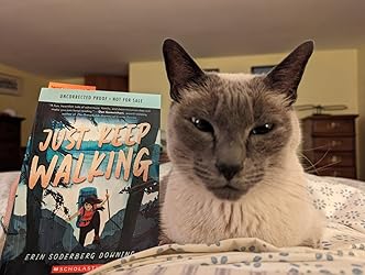 Just Keep Walking: Downing, Erin Soderberg: 9781338851397: Amazon.com ...