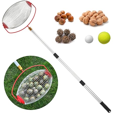 Amazon.com : Large Nut Wizard- Nut Picker Upper for Black Walnuts and ...