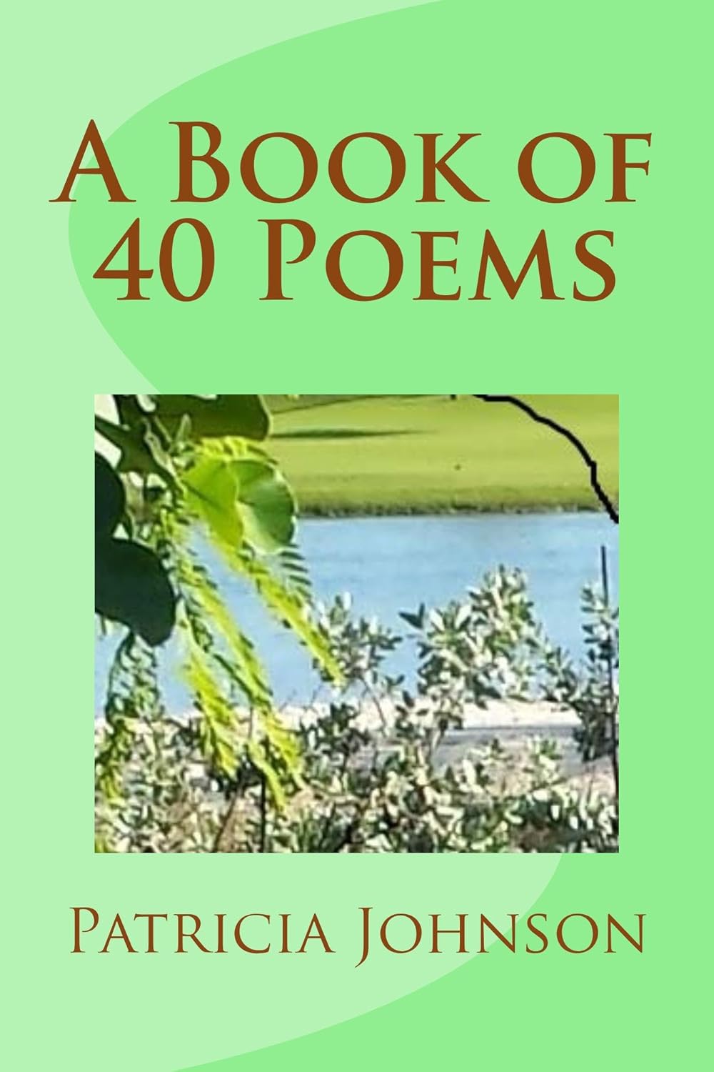 A Book of 40 Poems - Kindle edition by Johnson, Patricia. Literature ...