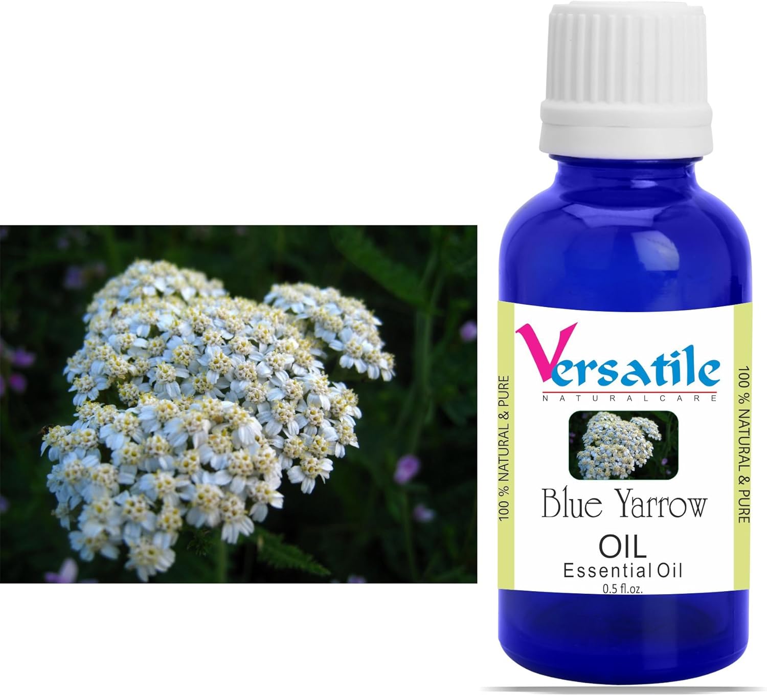 Amazon.com: Blue Yarrow Oil Essential Oils 100% Pure Natural ...