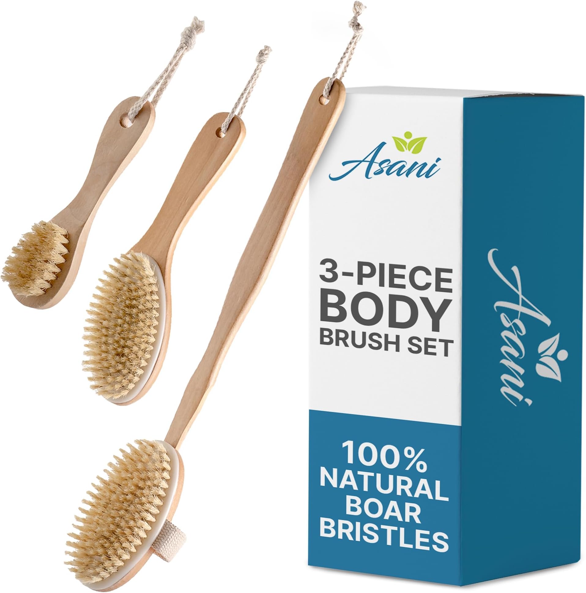 Amazon.com : 4 Pcs Dry Brush Set, Dry Brushing Body Brush for Lymphatic ...