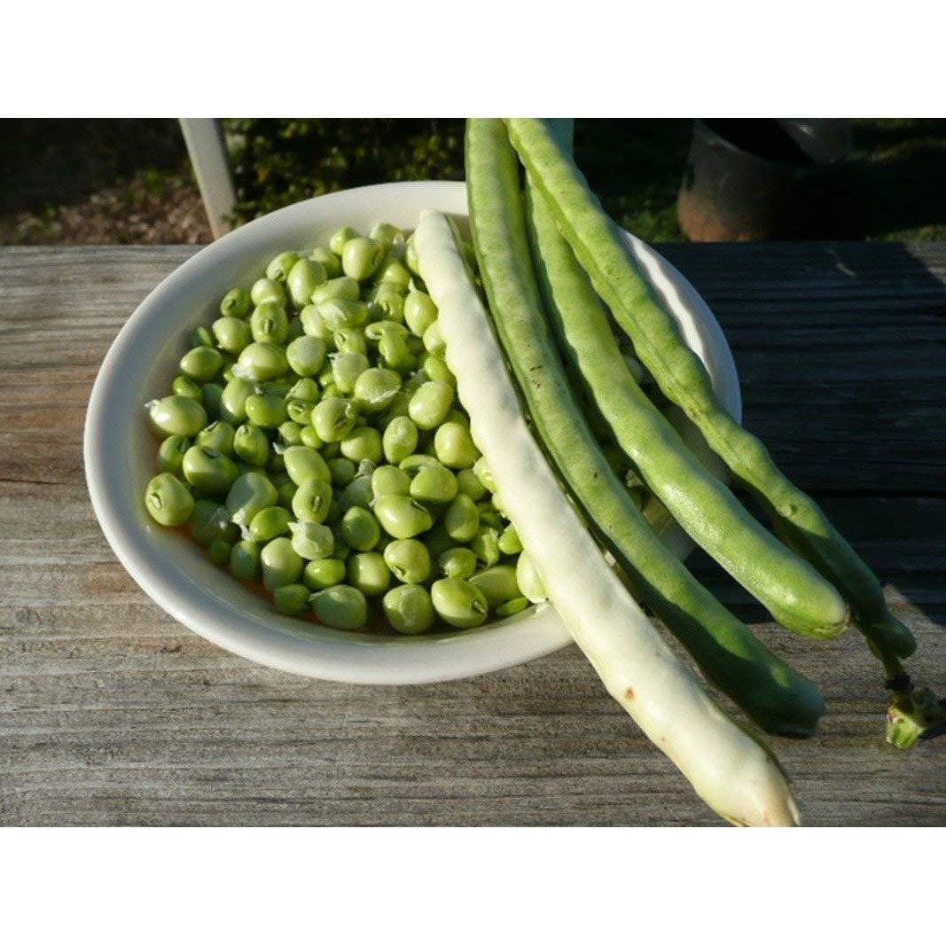 Pictures Of Zipper Peas