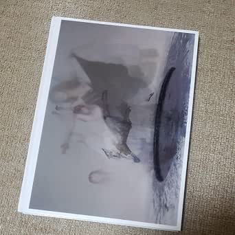 Amazon.co.jp: YUKI Photo Collection Brochure Rare : Toys & Games