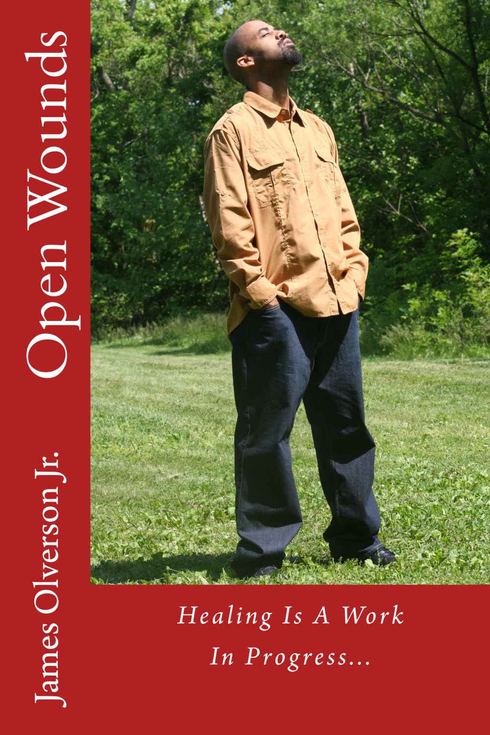 Open Wounds: Healing Is A Work In Progress: Olverson-El, James ...