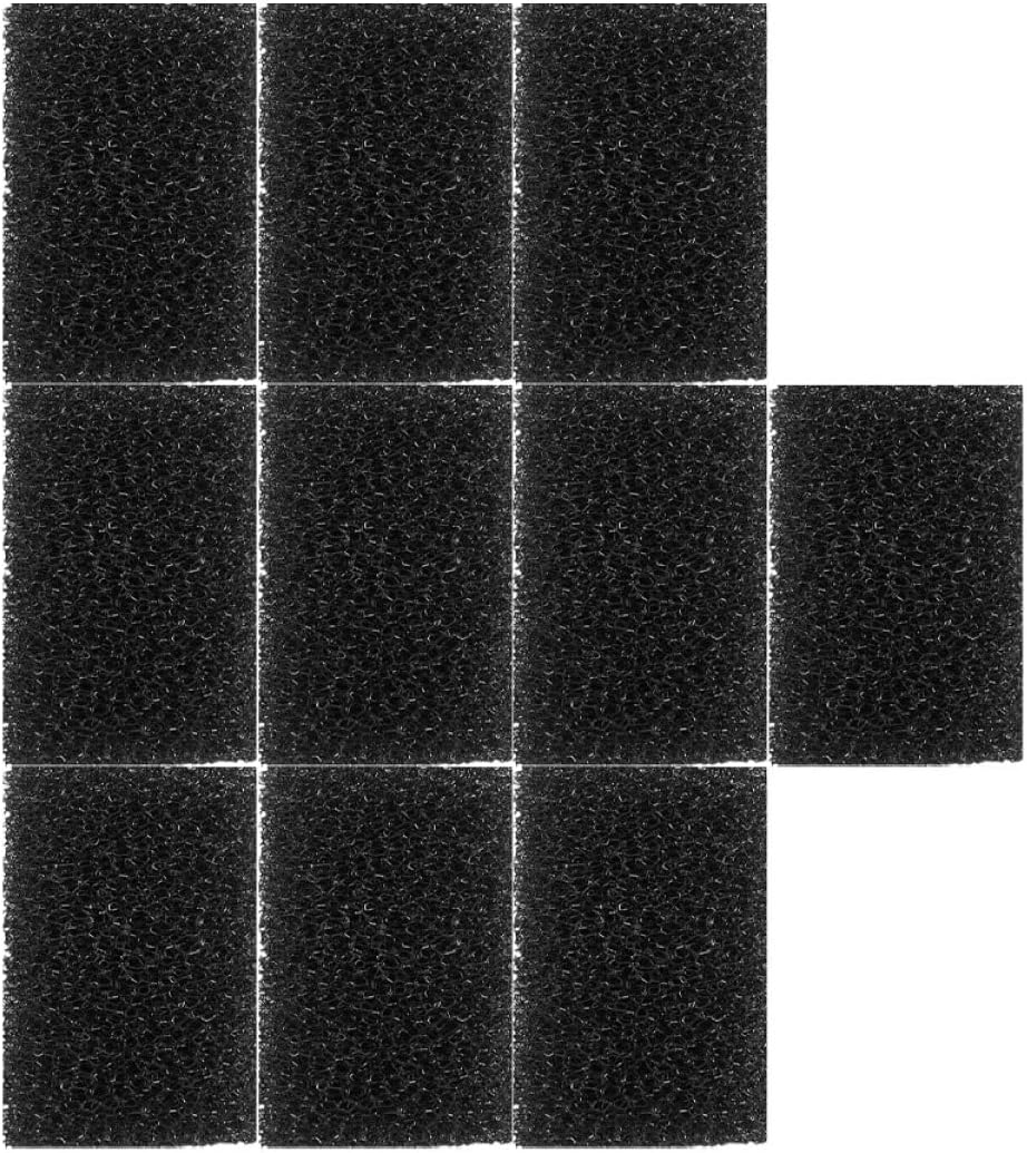 Amazon.com : Stipple Sponge LARGE PORE 8 Piece Die Cut Block - Special ...