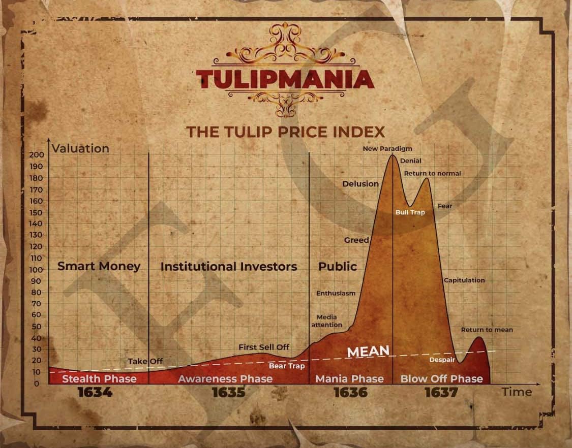 Amazon.com: Finance Geek Wall Street Art Unframed Wall Art 11X14 Tulipmania: Posters & Prints