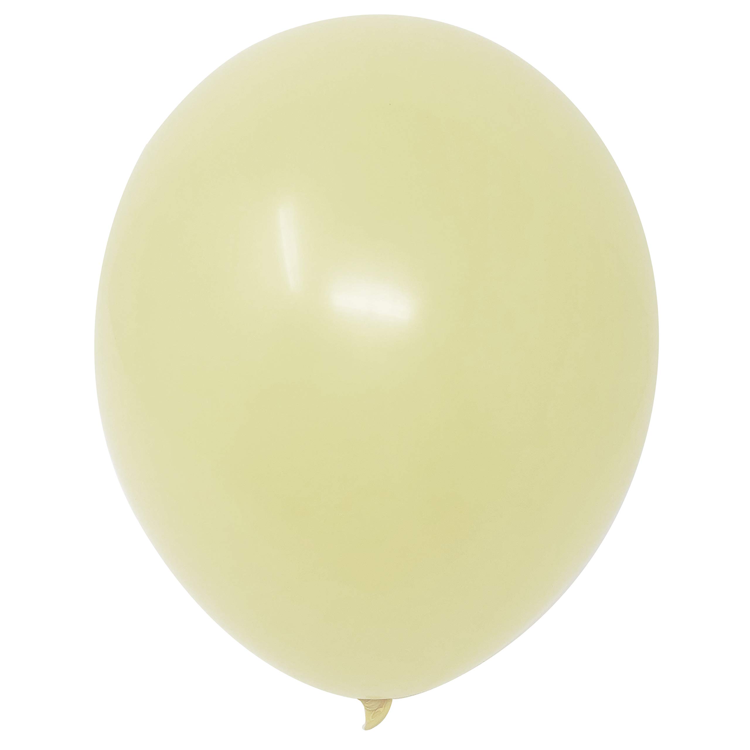 Amazon.com: Allgala Ivory Balloons 50 Pack 12 Inch Helium Grade Latex ...