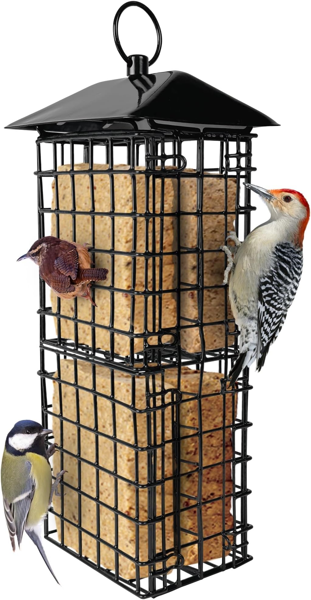 Amazon.com : Wild Wings Metal Suet Cage Feeder for Outdoor Décor Wild ...