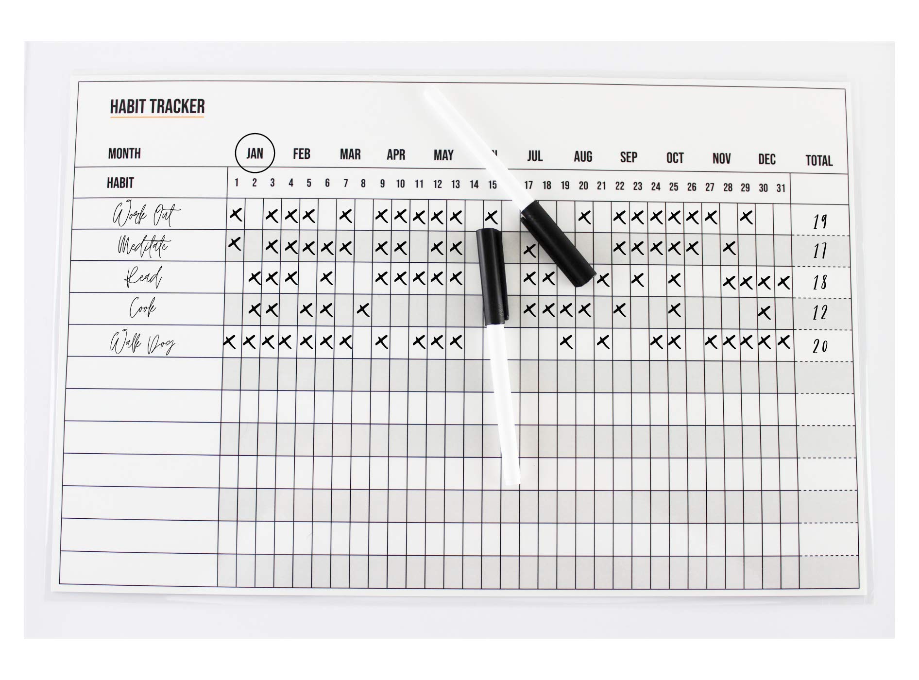 Buy Dry Erase Laminated Habit Tracker: Double Sided Monthly/Yearly ...
