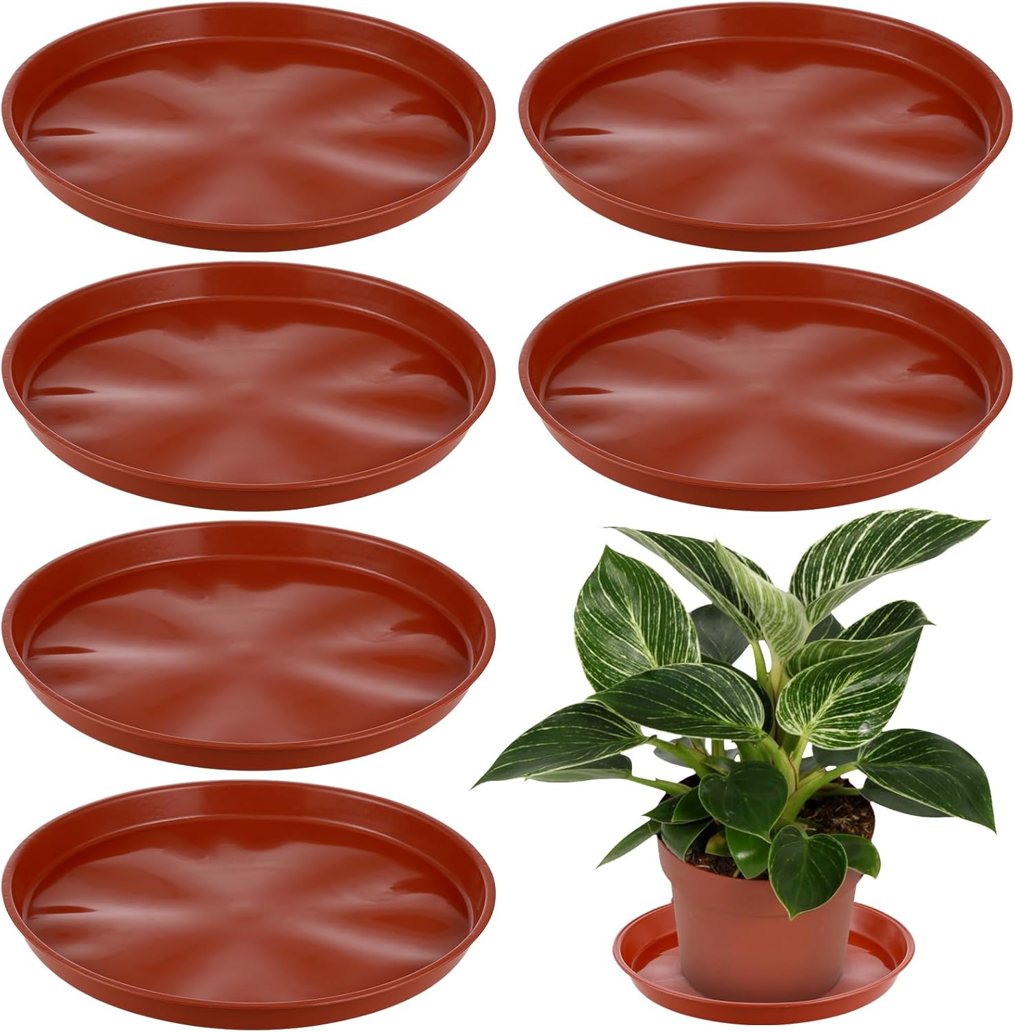 Amazon.com : 6 Pack Bottom 12 Inch Plant Saucers for Indoors Outdoors ...