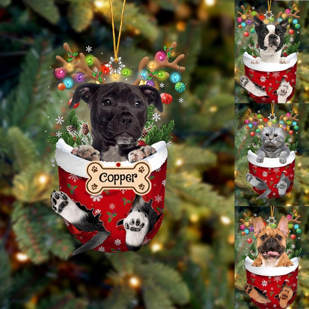 Amazon.com: Love Signal Personalized American Staffordshire Terrier 3 ...